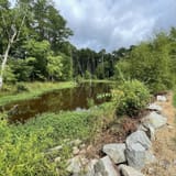 Lake Pine Loop, North Carolina - 1,291 Reviews, Map | AllTrails