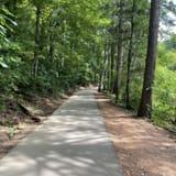 Lake Pine Loop, North Carolina - 1,291 Reviews, Map | AllTrails