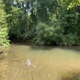 Speedwell Forge Hiking Trail, Pennsylvania - 1,098 Reviews, Map | AllTrails