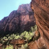Kayenta Trail to the Emerald Pools, Utah - 3,834 Reviews, Map | AllTrails