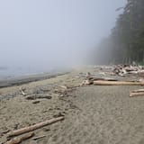 Sand Point Trail, Washington - 320 Reviews, Map | AllTrails