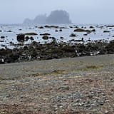 Sand Point Trail, Washington - 320 Reviews, Map | AllTrails