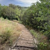 Cedar Ridge Outer Loop, Texas - 2,325 Reviews, Map | AllTrails