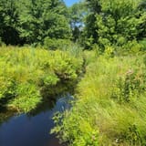 Carbuncle Pond and Moosup River Trail, Rhode Island - 299 Reviews, Map ...
