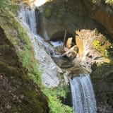 Racehorse Falls Trail, Washington - 433 Reviews, Map | AllTrails