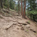 Green Mountain West Ridge Trail, Colorado - 6,742 Reviews, Map | AllTrails