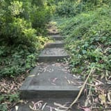 Presidio Loop Trail, California - 1,492 Reviews, Map | AllTrails