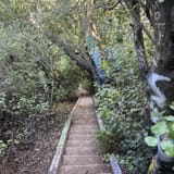 Murphy Ranch Trail, California - 3,952 Reviews, Map | AllTrails
