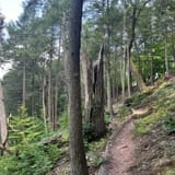 Skippack Creek Loop Trail, Pennsylvania - 4,003 Reviews, Map | AllTrails