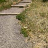 Rosie Rueter, Incline Challenge Loop, Colorado - 1,249 Reviews, Map ...