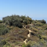 Temescal Canyon Trail, California - 11,062 Reviews, Map | AllTrails