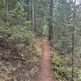 Beaver Brook Trail, Colorado - 1,514 Reviews, Map | AllTrails