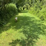 Speedwell Forge Hiking Trail, Pennsylvania - 1,098 Reviews, Map | AllTrails