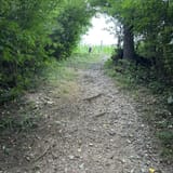 Speedwell Forge Hiking Trail, Pennsylvania - 1,098 Reviews, Map | AllTrails