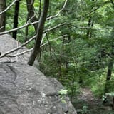 High Rocks, Pennsylvania - 3,406 Reviews, Map | AllTrails