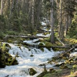 Karst Spring Trail, Alberta, Canada - 1,011 Reviews, Map | AllTrails
