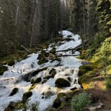 Karst Spring Trail, Alberta, Canada - 1,011 Reviews, Map | AllTrails