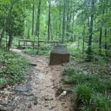Henderson Park Loop, Georgia - 1,909 Reviews, Map | AllTrails