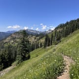 Tatoosh Ridge Trail, Washington - 424 Reviews, Map | AllTrails