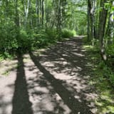 Mer Bleue Conservation Area Loop, Ontario, Canada - 957 Reviews, Map ...