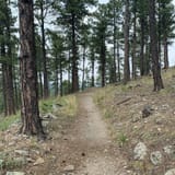Coon Hollow Loop, South Dakota - 1,341 Reviews, Map | AllTrails