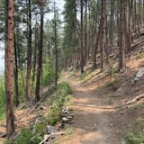 Coon Hollow Loop, South Dakota - 1,341 Reviews, Map | AllTrails