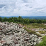 Devil's Honeycomb Trail , Missouri - 826 Reviews, Map | AllTrails
