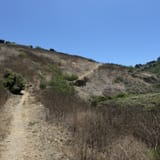 Malaga Lunada Vista Loop, California - 414 Reviews, Map | AllTrails