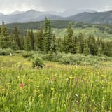 Shrine Ridge Trail, Colorado - 3,318 Reviews, Map | AllTrails