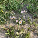 Fullerton Loop Trail, Alberta, Canada - 4,206 Reviews, Map | AllTrails