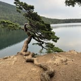 Cascade Lake Trail, Washington - 783 Reviews, Map | AllTrails