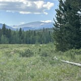 Kenosha Pass North, Colorado - 1,678 Reviews, Map | AllTrails