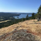 Turtleback Mountain South Trail , Washington - 366 Reviews, Map | AllTrails