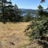 Turtleback Mountain South Trail , Washington - 385 Reviews, Map | AllTrails