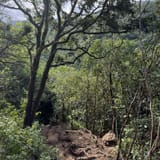 Waimano Falls Trail, Oahu, Hawaii - 5,272 Reviews, Map | AllTrails