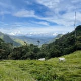 Cocora Valley Loop, Quindío, Colombia - 201 Reviews, Map | AllTrails
