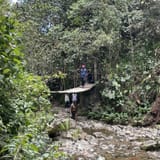 Cocora Valley Loop, Quindío, Colombia - 201 Reviews, Map | AllTrails
