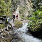 Cocora Valley Loop, Quindío, Colombia - 201 Reviews, Map | AllTrails