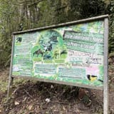 Cocora Valley Loop, Quindío, Colombia - 201 Reviews, Map | AllTrails