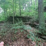 Bonner Park Loop, Pennsylvania - 305 Reviews, Map | AllTrails