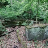 Bonner Park Loop, Pennsylvania - 305 Reviews, Map | AllTrails