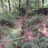 Bonner Park Loop, Pennsylvania - 305 Reviews, Map | AllTrails