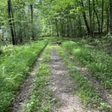 Gerard Hiking Trail, Pennsylvania - 300 Reviews, Map | AllTrails