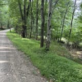 Gerard Hiking Trail, Pennsylvania - 283 Reviews, Map | AllTrails