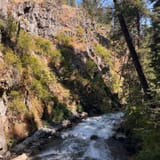 Chief Joseph Mountain Trail, Oregon - 443 Reviews, Map | AllTrails