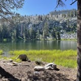 Weaver Lake Trail, California - 1,112 Reviews, Map | AllTrails