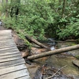 Daniel Ridge Loop, North Carolina - 2,143 Reviews, Map | AllTrails