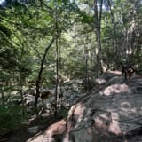 Cascade Brook Trail to Lonesome Lake, New Hampshire - 808 Reviews, Map ...