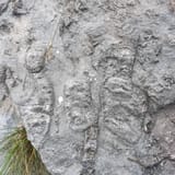 Rock Point Provincial Park, Ontario, Canada - 44 Reviews, Map | AllTrails