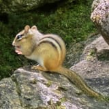 Arethusa Falls via Bemis Brook and Arethusa Falls Trails, New Hampshire ...